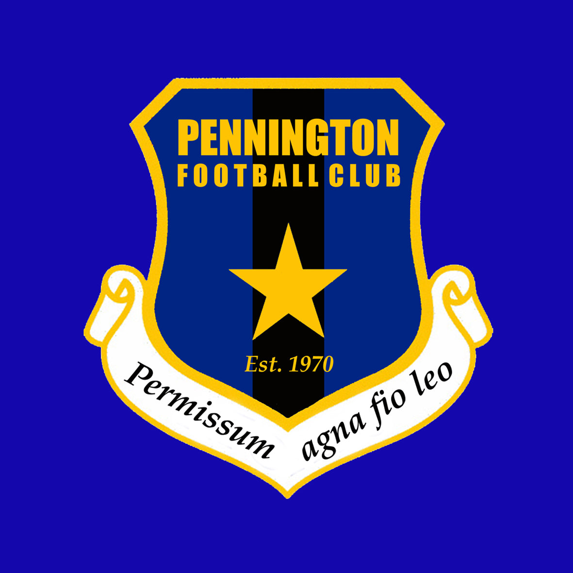 Pennington F.C. – The Trophy Room