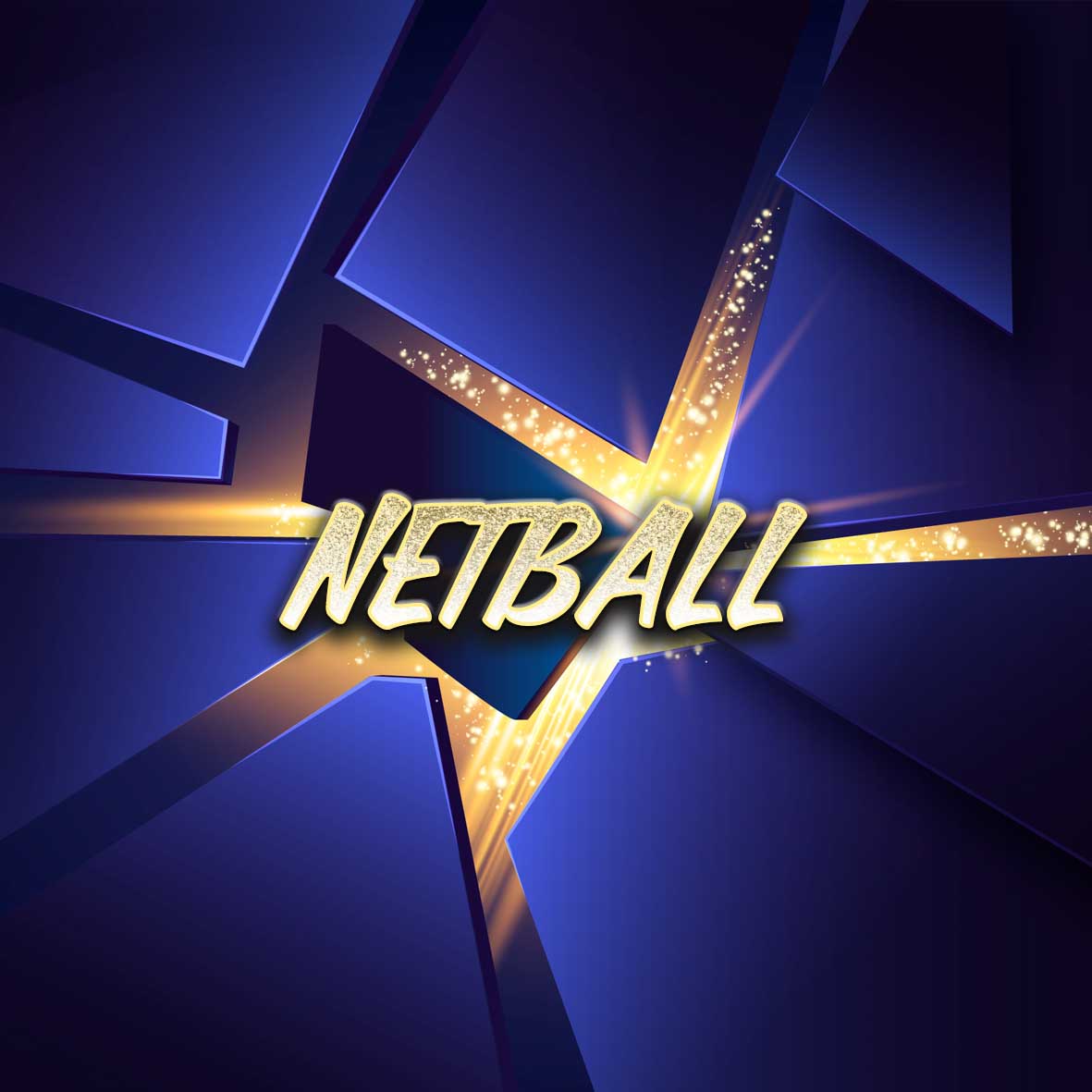 Netball – The Trophy Room